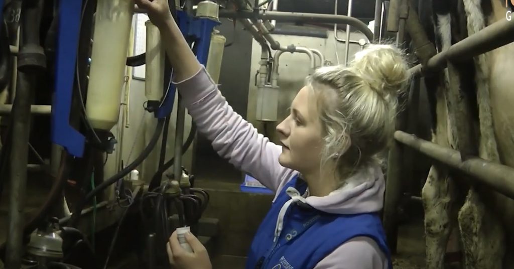 Progressive Genetic Milk Recording Video