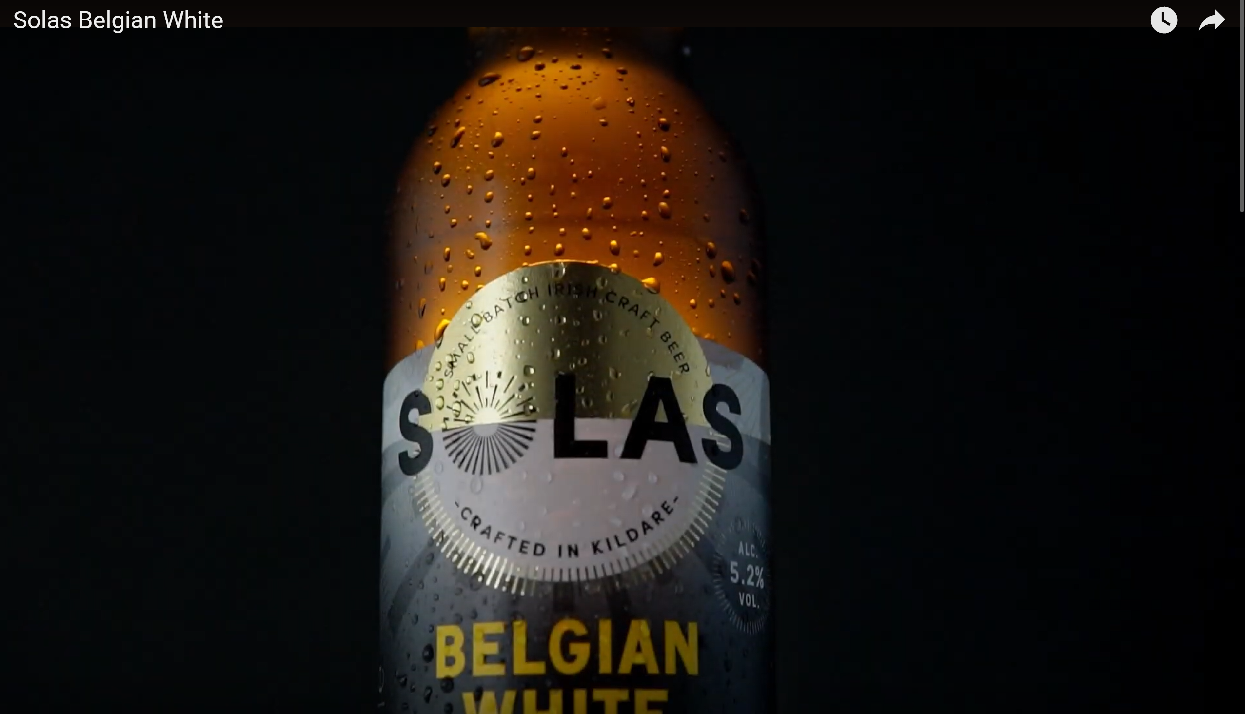 Indie Spice Grill Dublin Video